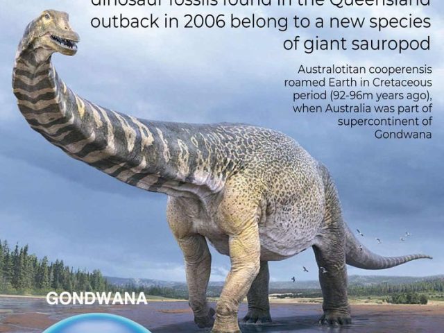 What Dinosaur Has 500 Teeth: Nigersaurus – Delhi Magazine – Lifestyle ...