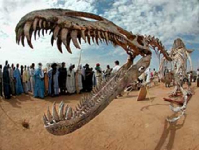 What Dinosaur Has 500 Teeth: Nigersaurus – Delhi Magazine – Lifestyle ...